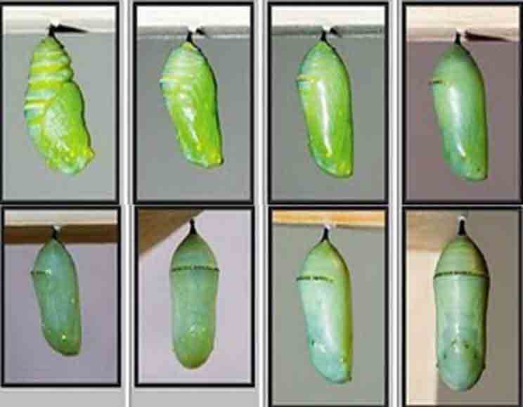 neng jijit: April 2011