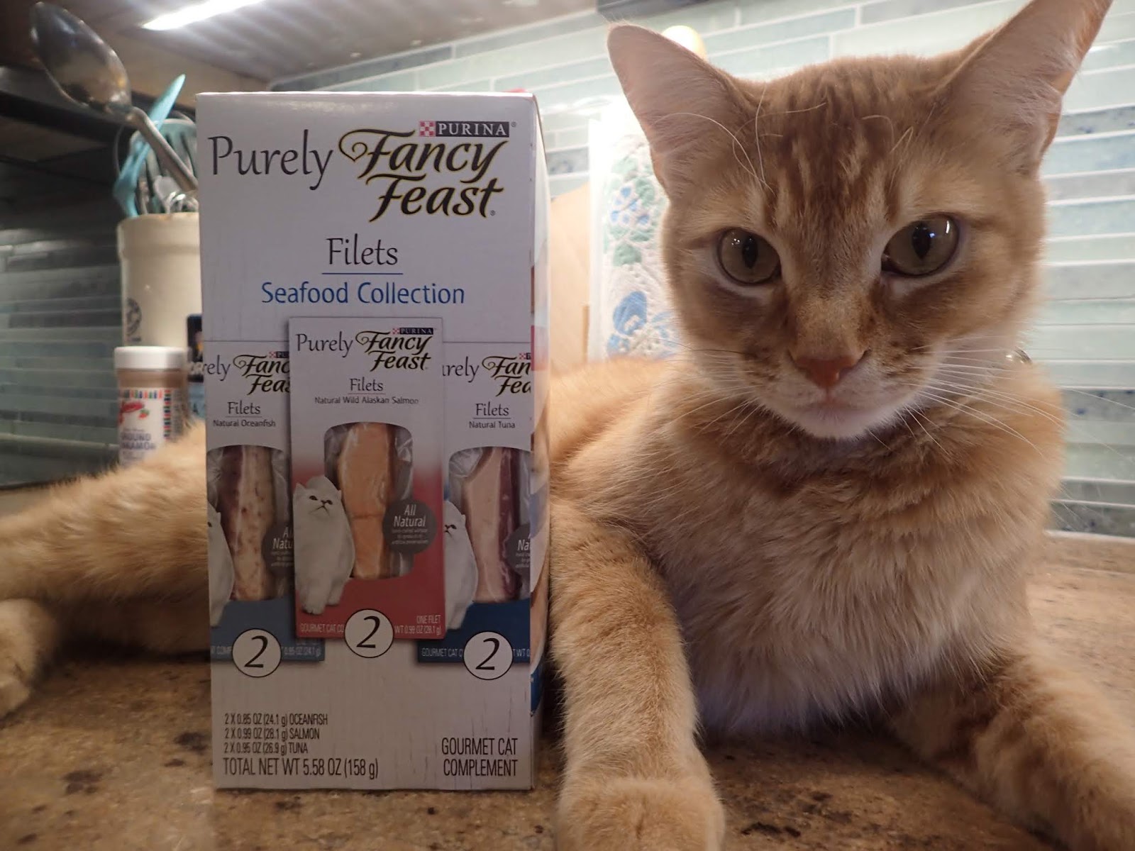 Lone Star Cats: Fancy Feast Purely Natural Seafood Filets from Chewy!