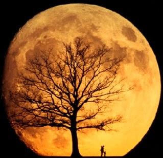 Loriloo - Tips For Photography