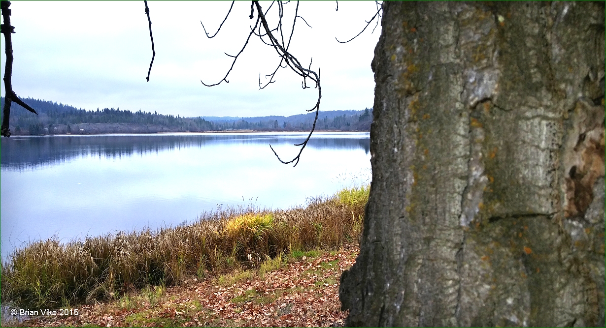 Northern Interior British Columbia: Rose Lake British Columbia (Pictures)