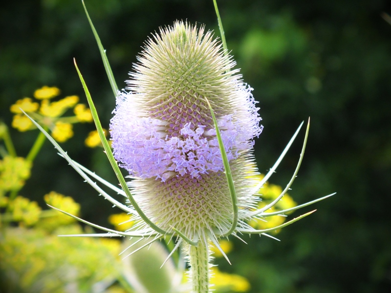 Educating Creatively