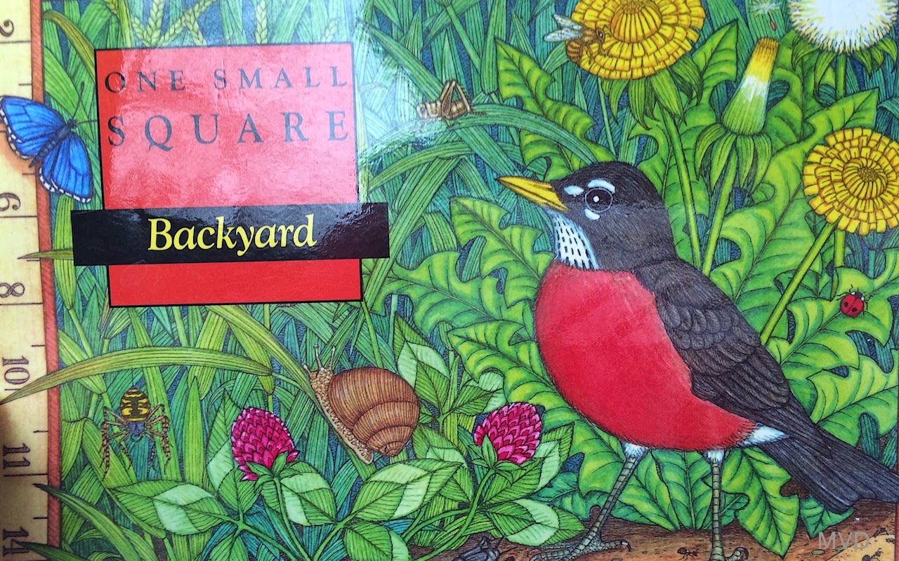 Green STEM Learning: One Small Square in the Outdoor Classroom