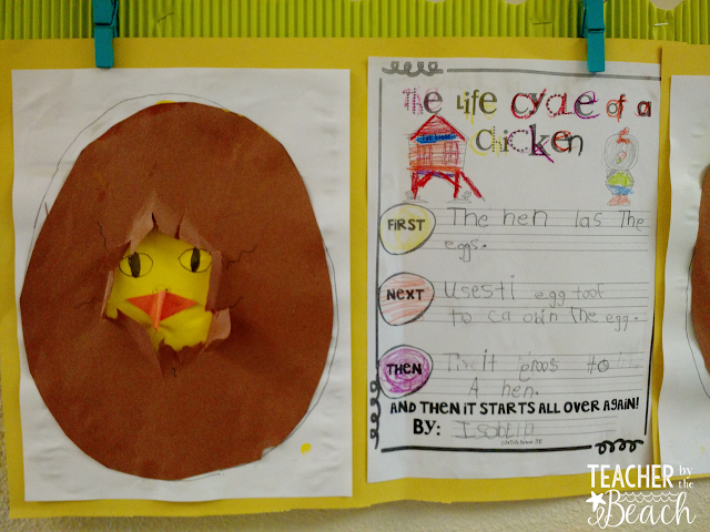 Oviparous Animals - Inferencing and Eggs! - Teacher by the Beach
