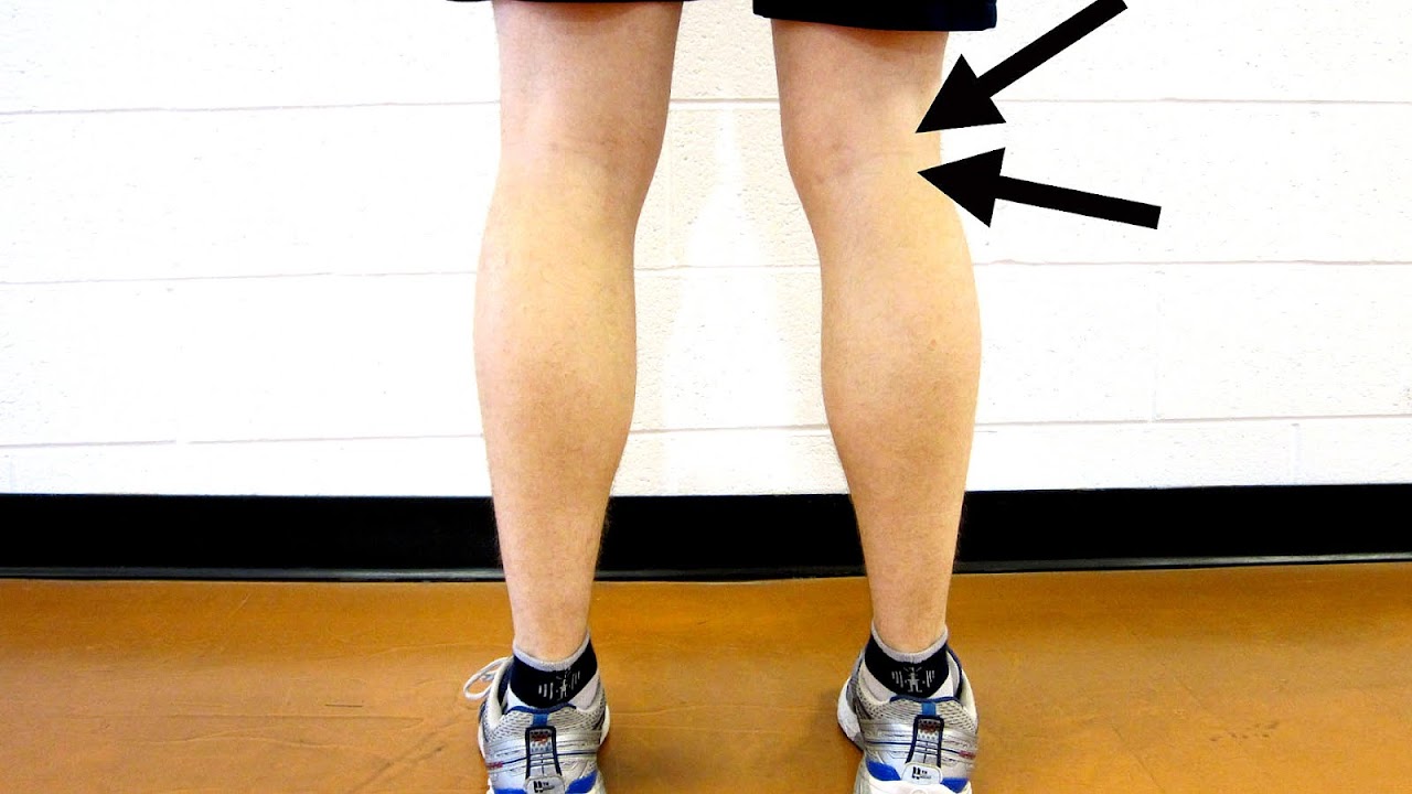 Leg Tendon Behind Knee / Pin on Anatomy - Tendons are thick bands of ...