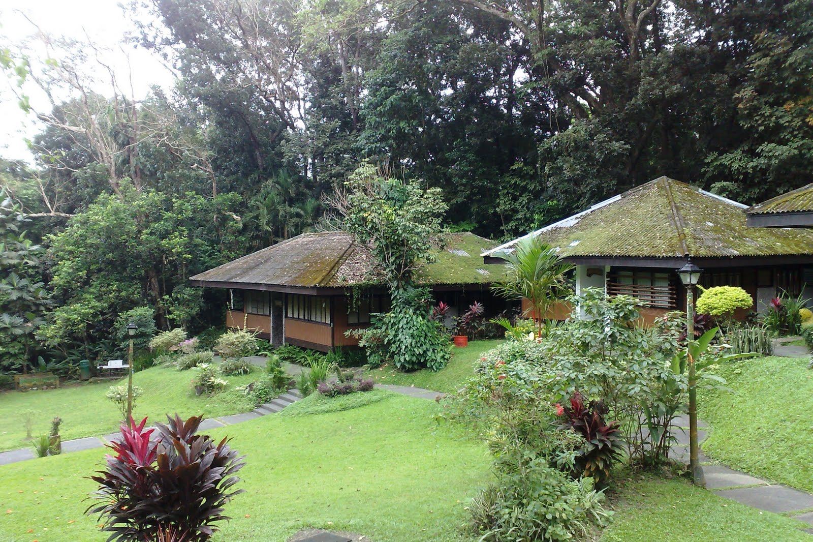 Pook ni Mariang Makiling: Photos | Island Travel