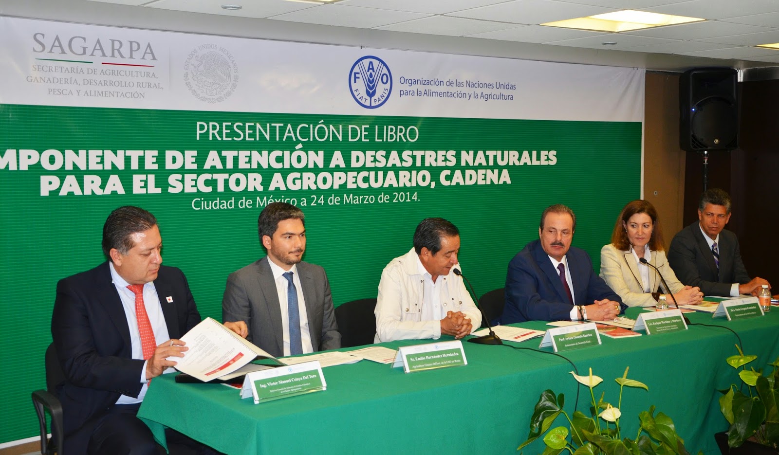 FAO México: Reconoce la FAO el esfuerzo de México por impulsar una ...