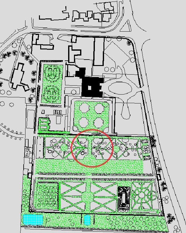 The Castle Bromwich Hall Gardens Blog: Plant of the Month - June 2012