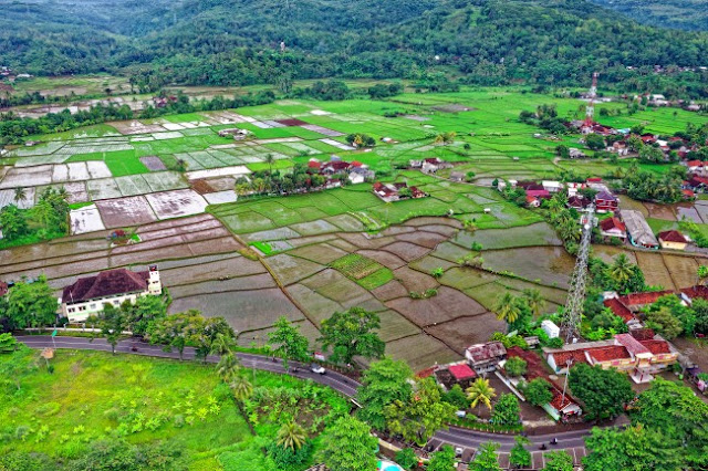 Gambaran Umun Pertanian Indonesia - Pembagian-Pembagian Pertanian ...