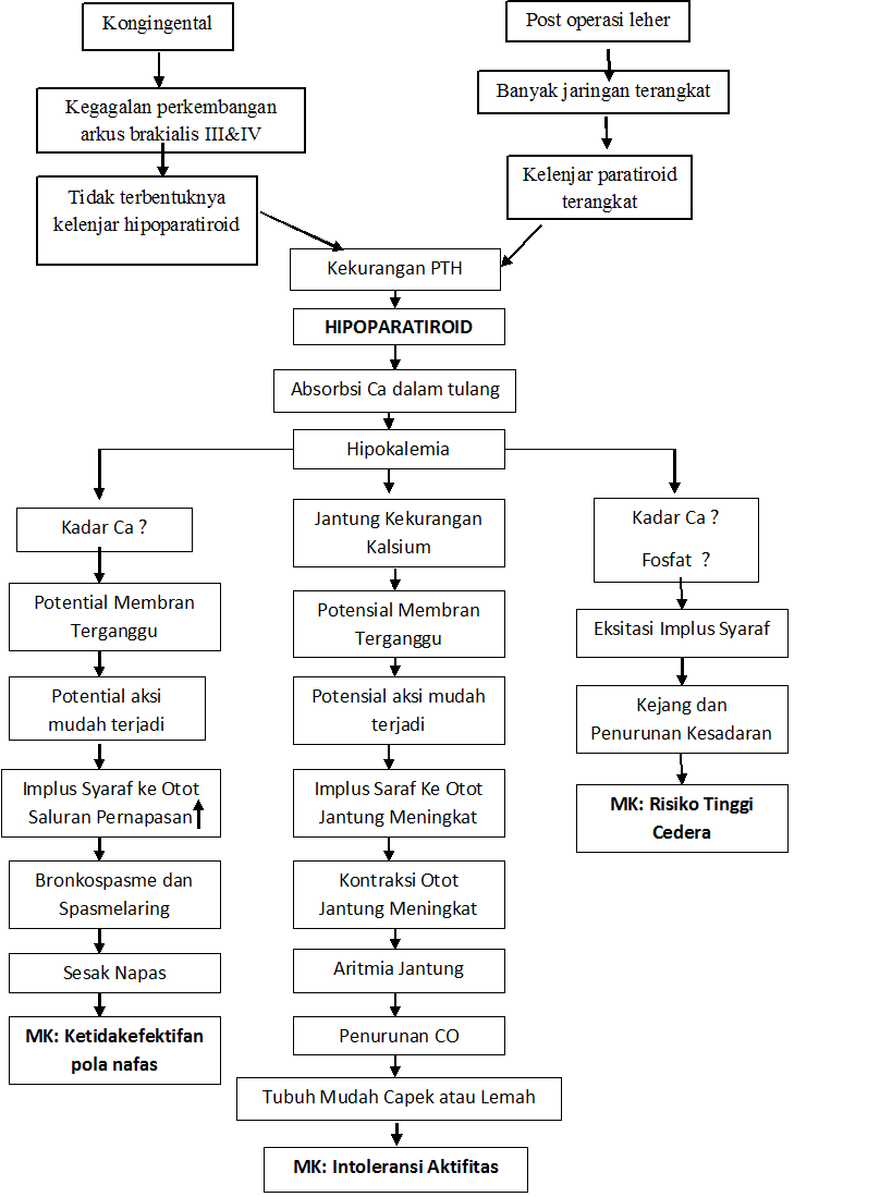 keperawatan: Hipoparatiroid