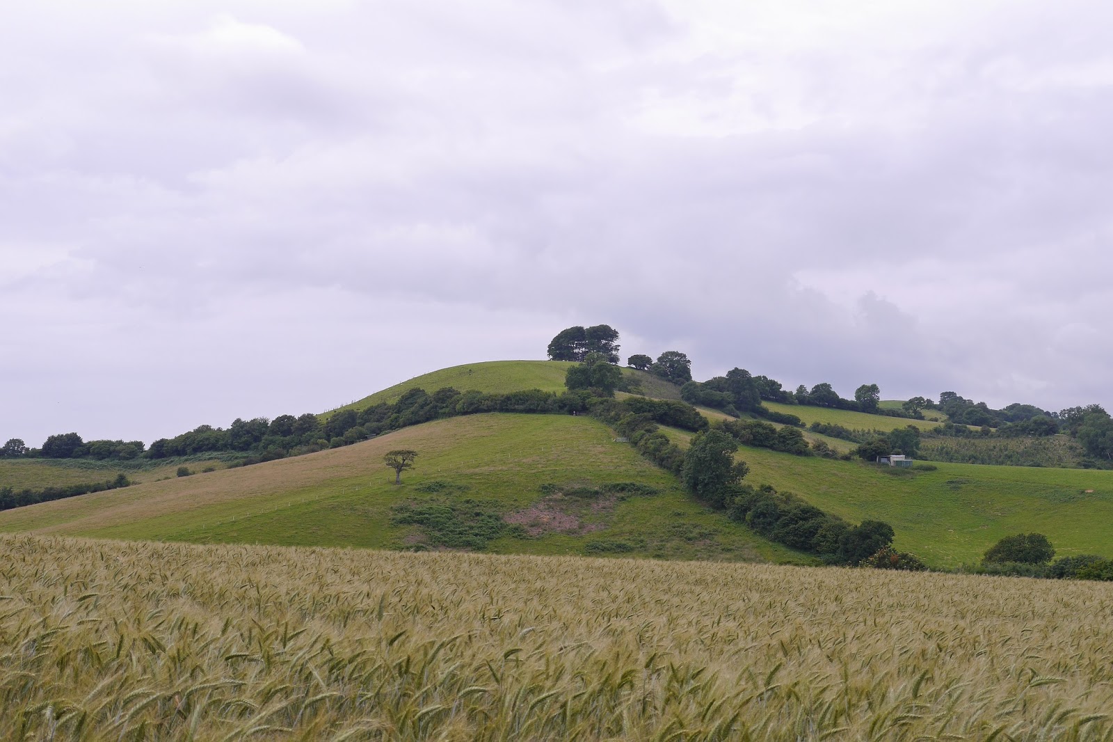 Walking in the country: Beaminster to Blackdown Hill (Wessex Ridgeway ...
