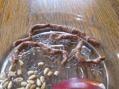 Almost Unschoolers: A Bird Food Themed Snack