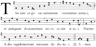 Lord, show me your hidden wound.: Holy Thursday: Pange Lingua/Tantum Ergo