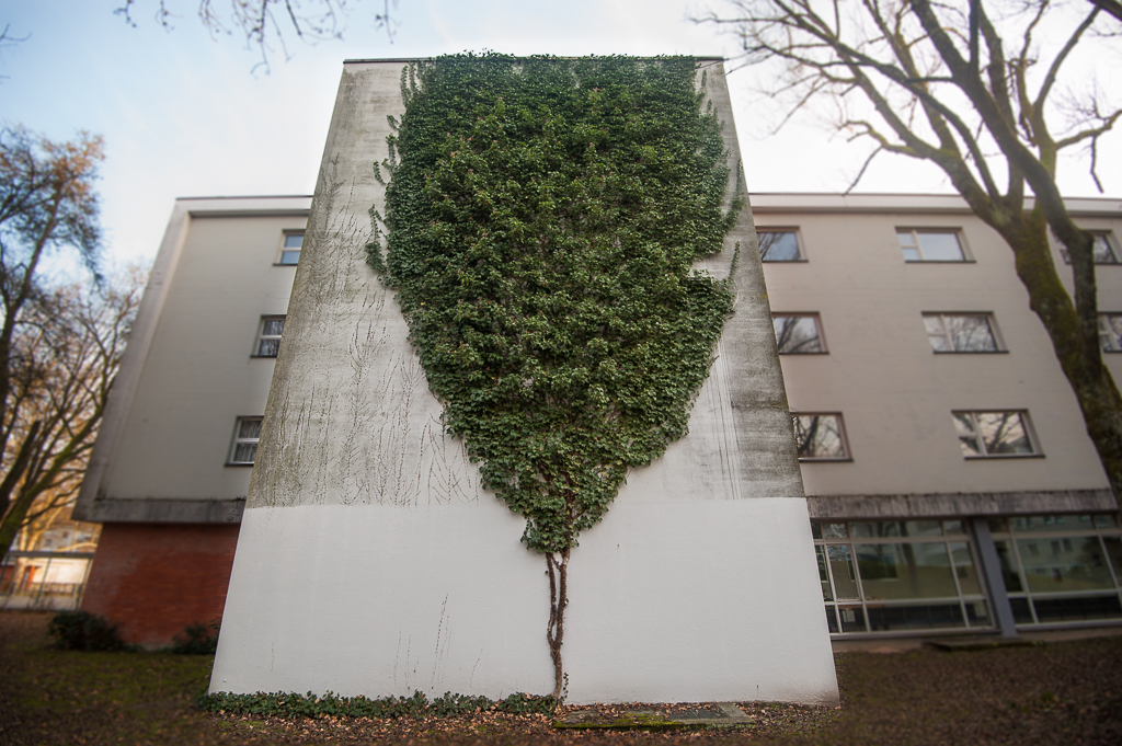 pb fotografie: The two-dimensional tree