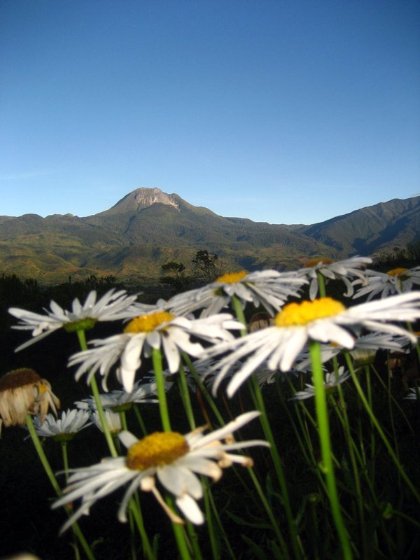 Make It Davao: Mount Apo - King of Philippine Peaks