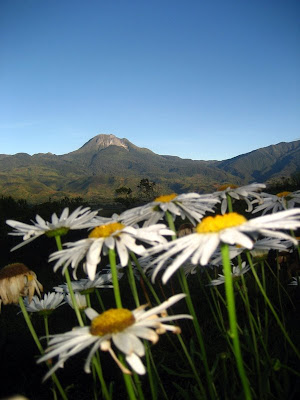 Make It Davao: Mount Apo - King of Philippine Peaks