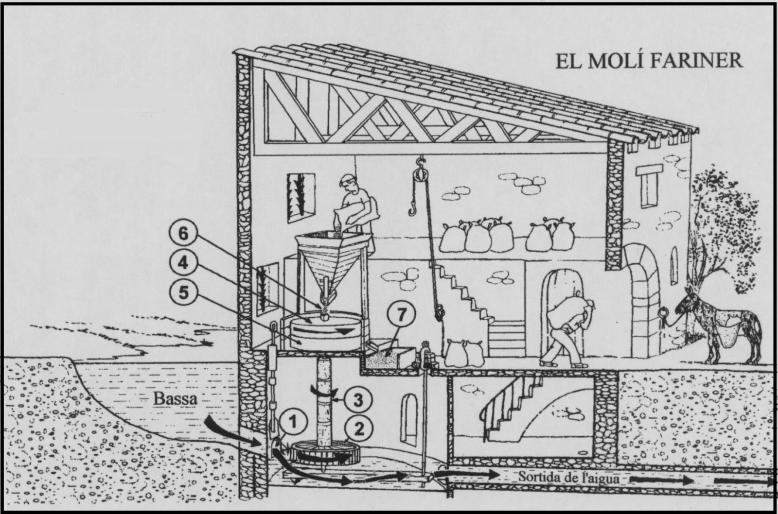 Moià d'abans: d’agost 2015