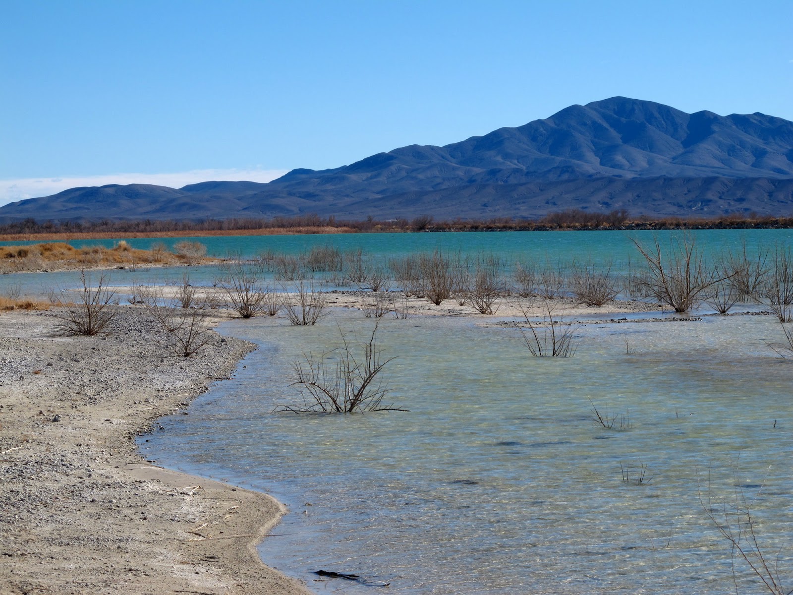 Squirrel's View: Ash Meadows National Wildlife Refuge