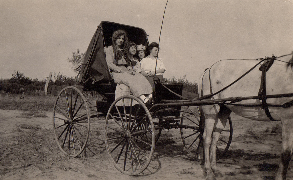Horse and Buggy: One of the Common Transports Before 1900 ~ Vintage ...
