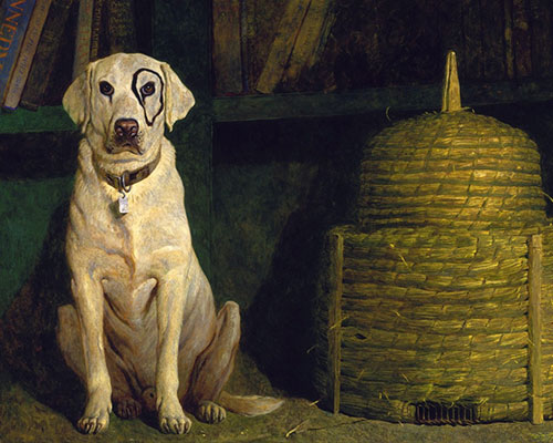 OUTSIDERS - IL MUSEO IMMAGINARIO: IL CANE DI GOYA. UN MESSAGGIO DALLA ...