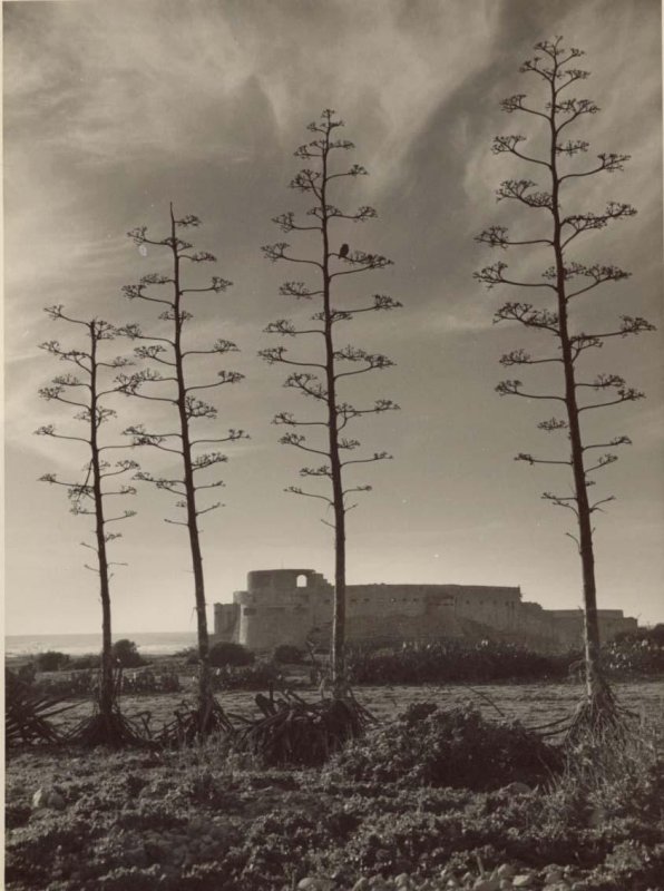 Los Grandes Fotografos: Emil Otto Hoppé (1878-1972)