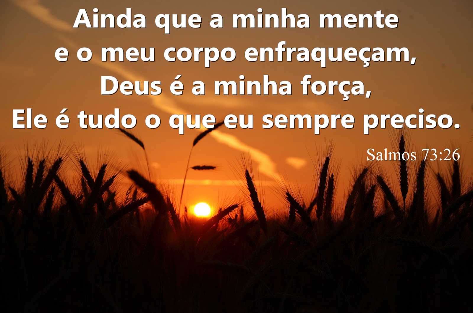 Palavra Eficaz : SALMO 73 – Comentários Pr Heber Toth Armí