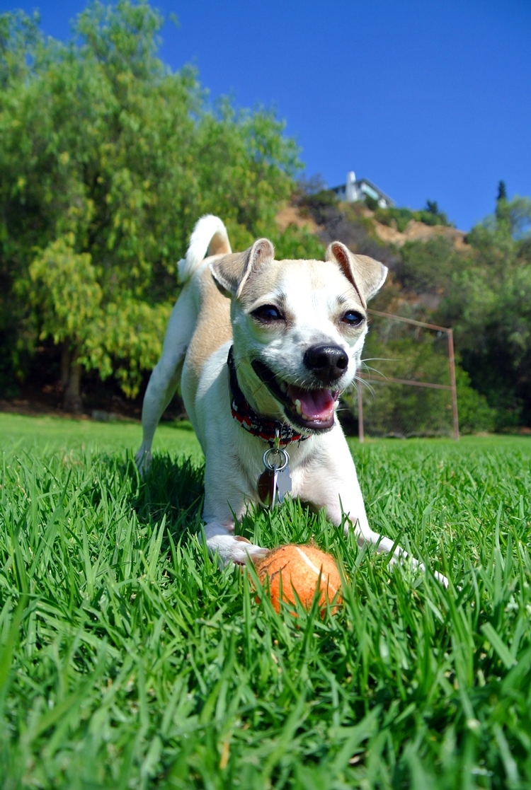 HAPPYHAZEL: Happy February!