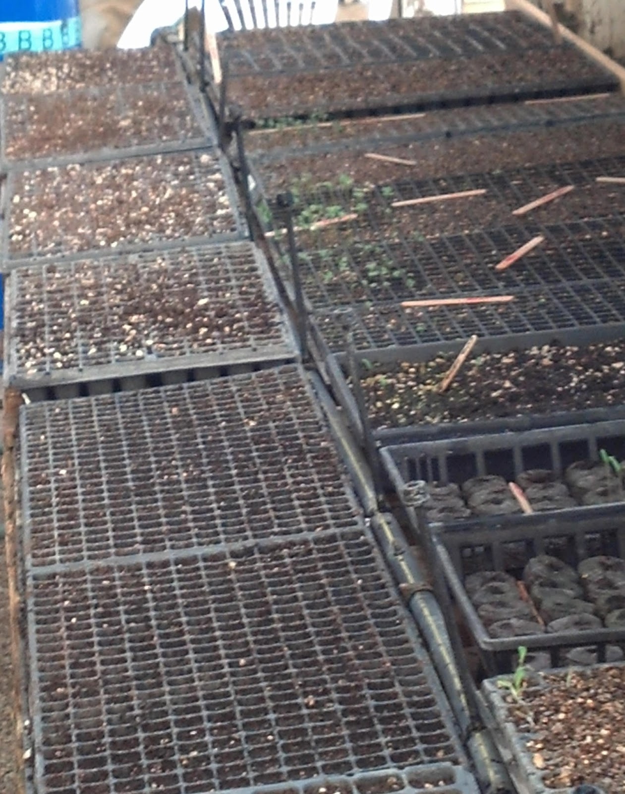 Von and Carolyn Christensen : Preparing the Grow Boxes