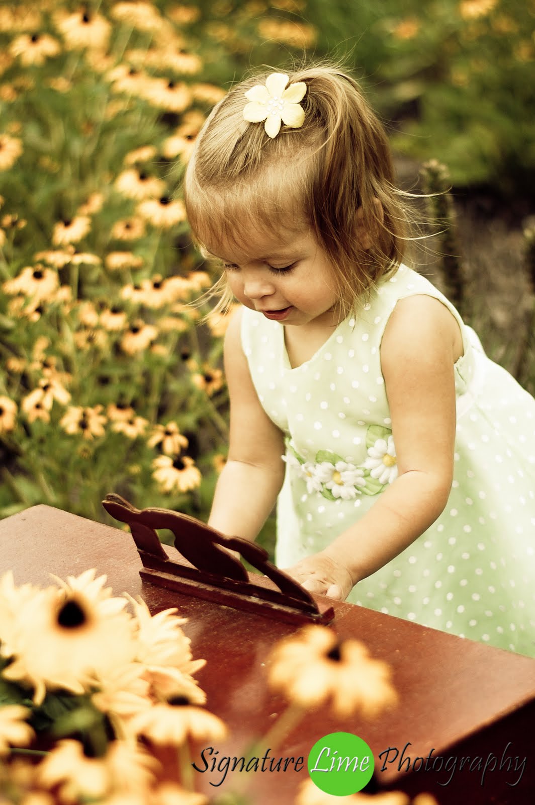 Signature Lime Photography