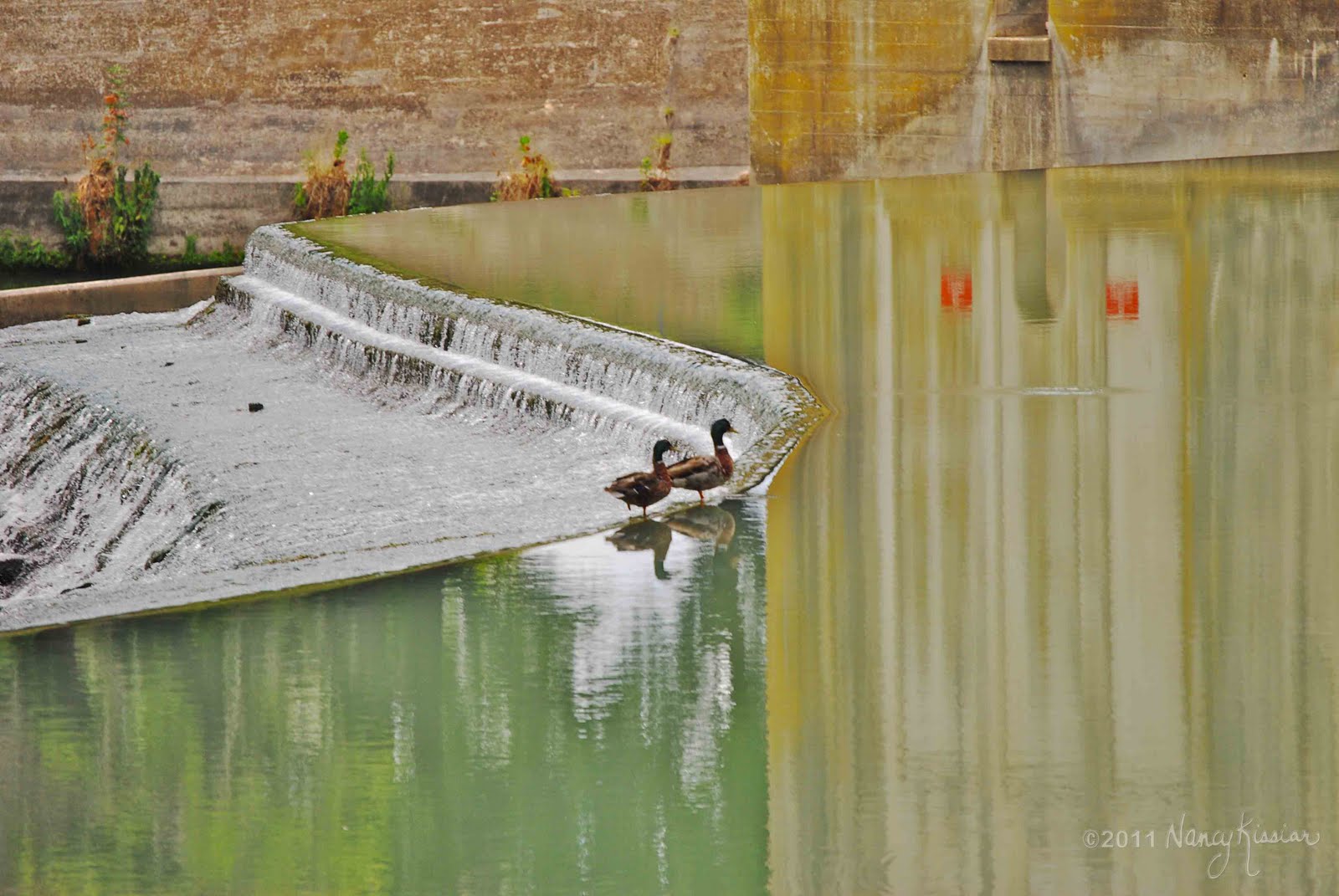 Wild About Texas: Seguin Landmarks...Saffold Dam