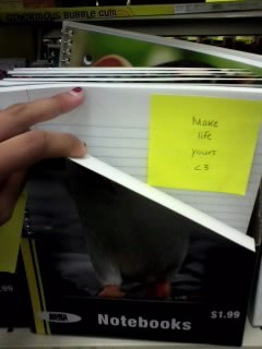 The Sunshine Movement