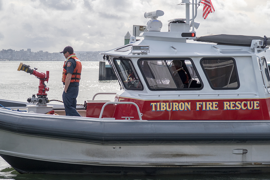 the mikereport: Tiburon Sightems