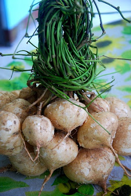 Fruits Stand: July 2012