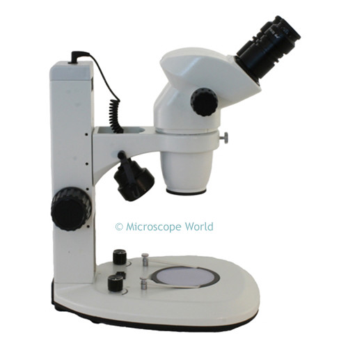 Microscope World Blog: Pen under Stereo Microscope