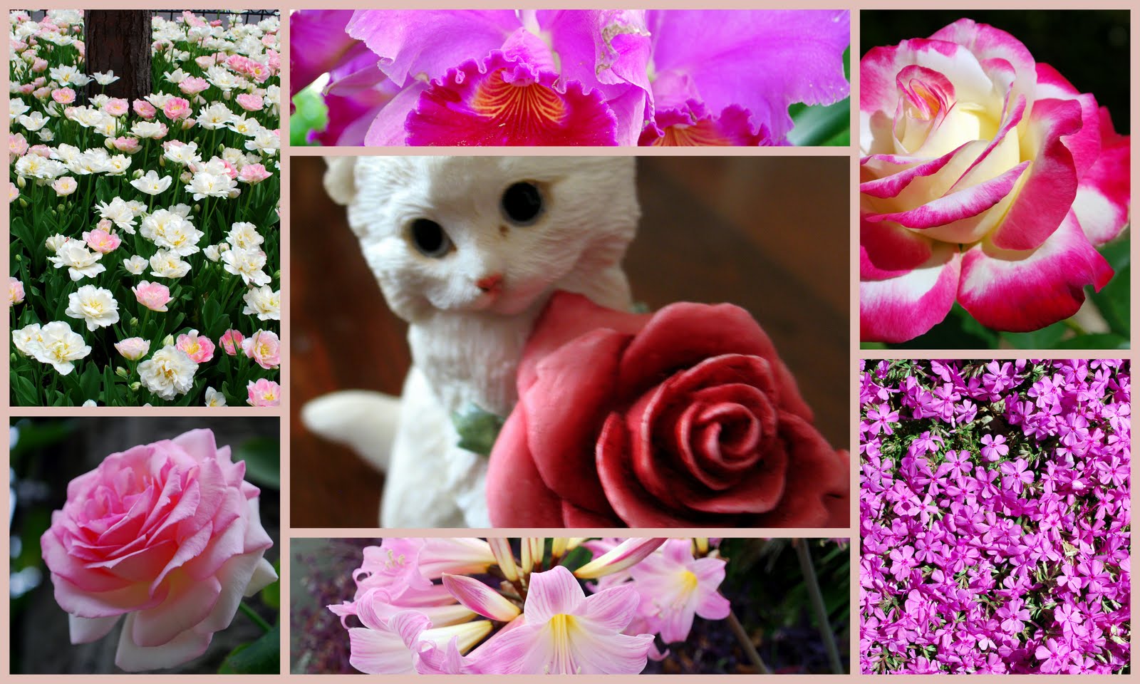 Mille Fiori Favoriti: Happy Third Birthday to Pink Saturday