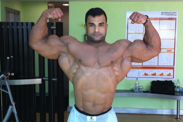 Muscle Lover: Egyptian bodybuilder Ahmed El Wardany