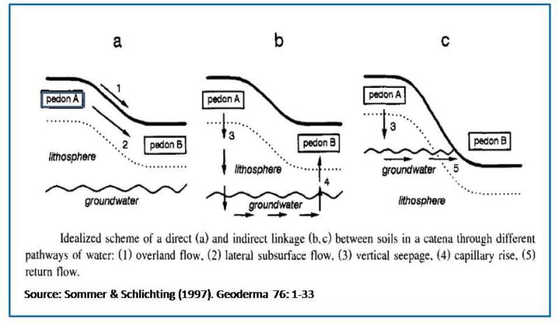Soil and Environment: The origin of the catena concept