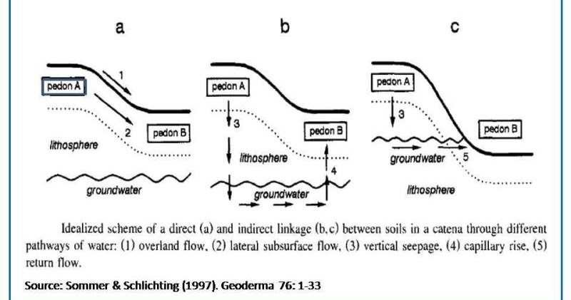 Soil and Environment: The origin of the catena concept
