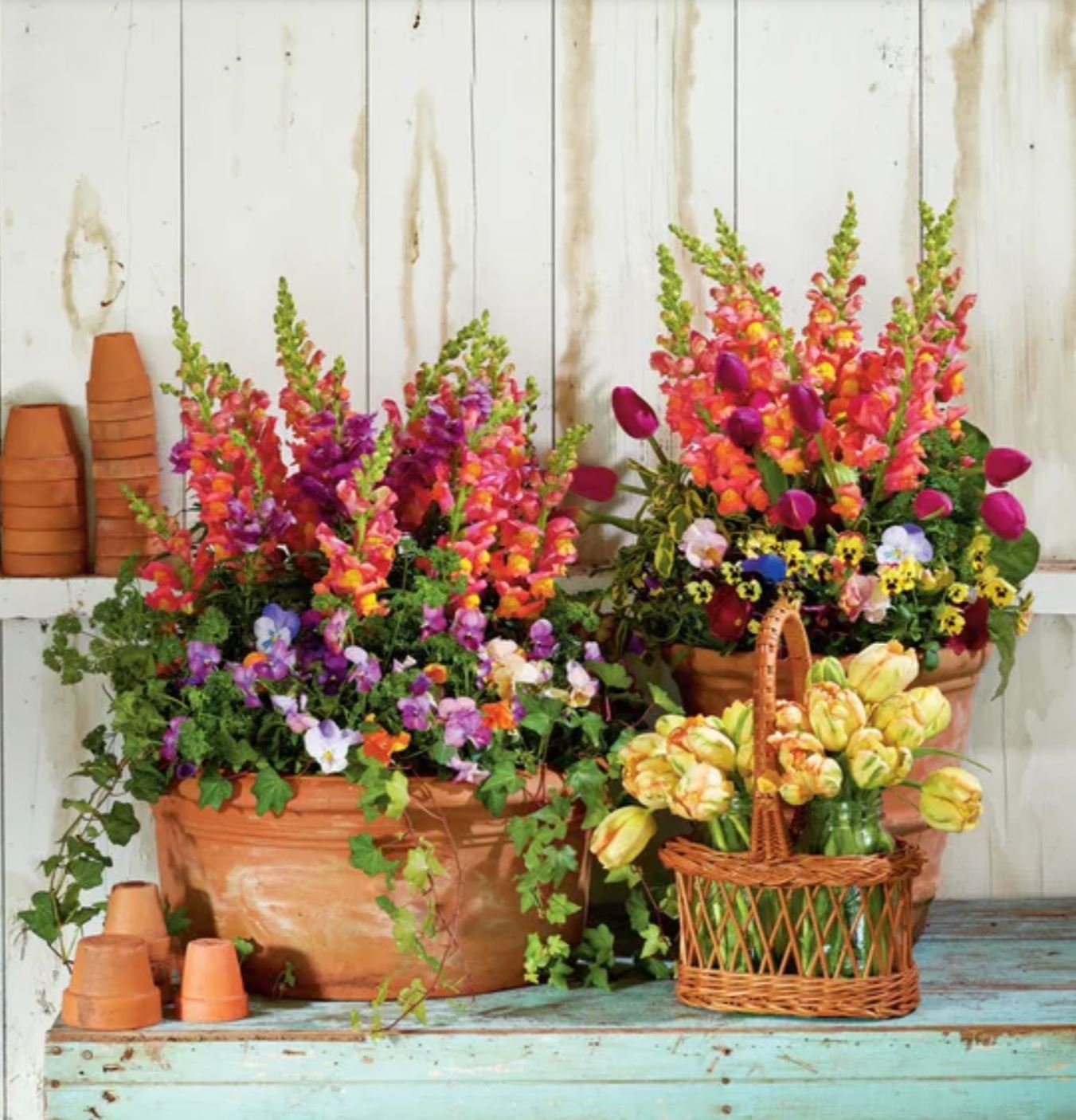 The Friday Files - Preppy Empty Nester F