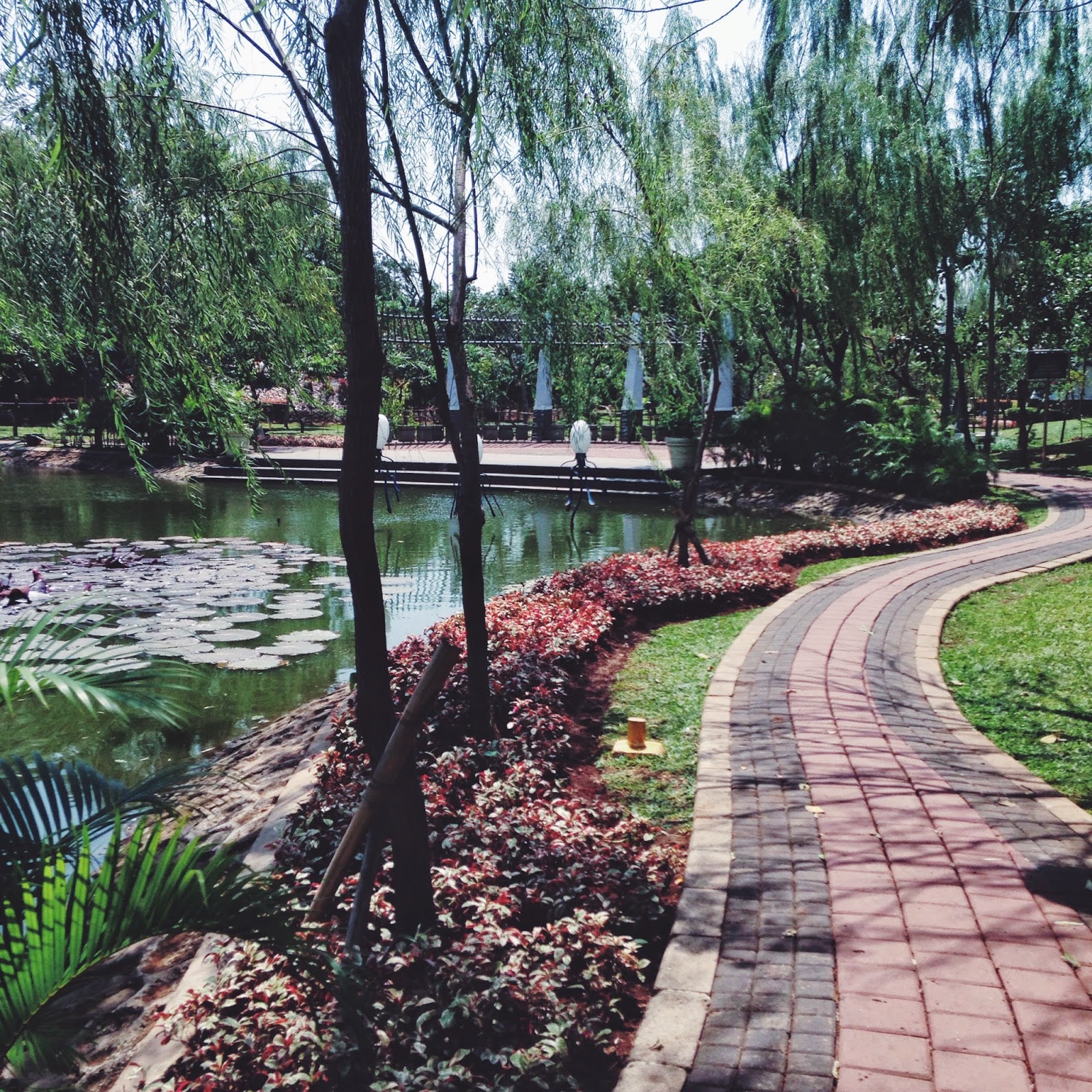 Healthy Can Be Fun!: Track Jogging Taman SPATHODEA