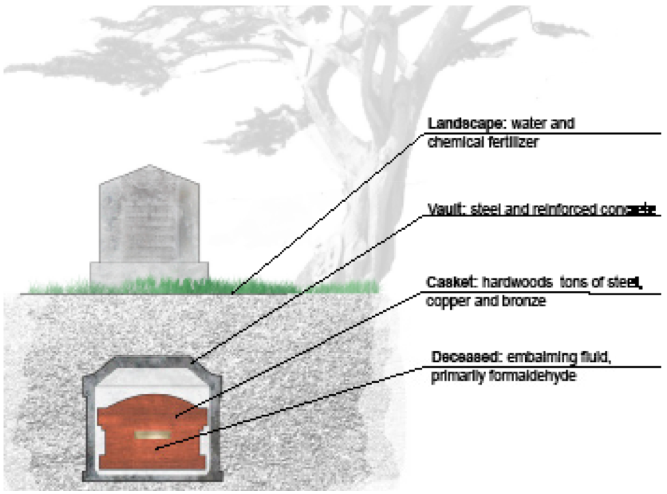 UM Recycling: Why Natural Burial Is the Right Way to Go... literally