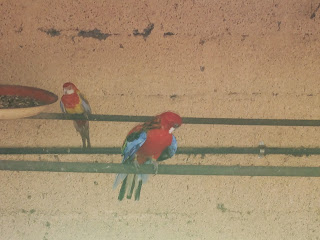 Mumbaikars In Muscat: A visit to Barka Zoo