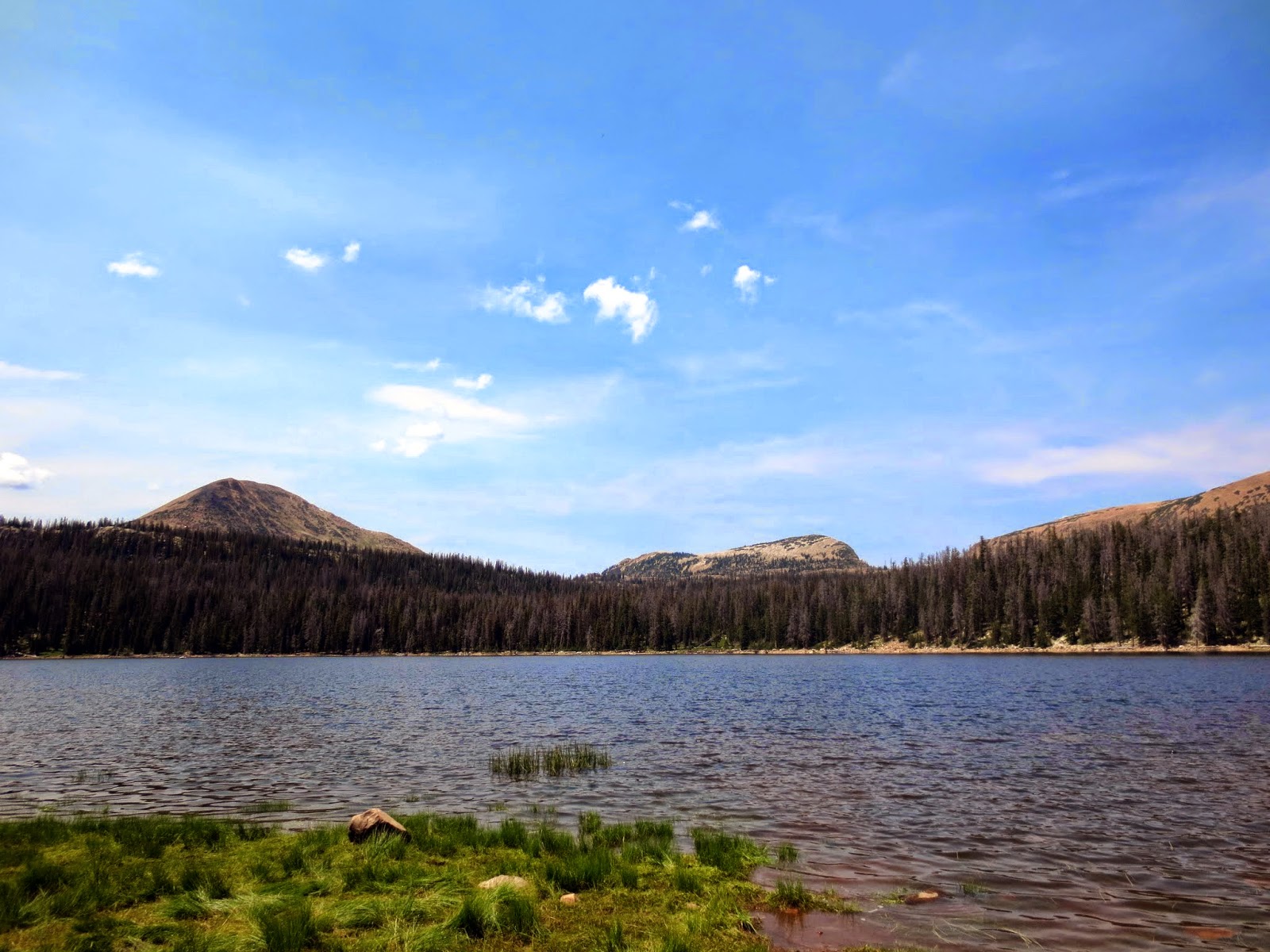 wasatch and beyond: Provo River Falls and Trial Lake