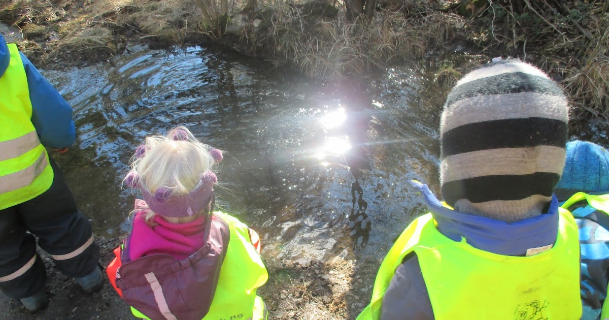 Grasmyr naturbarnehage: PLIPP OG PLOPP!