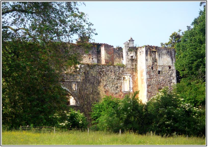 Landes en vrac: MAGIE DES RUINES.