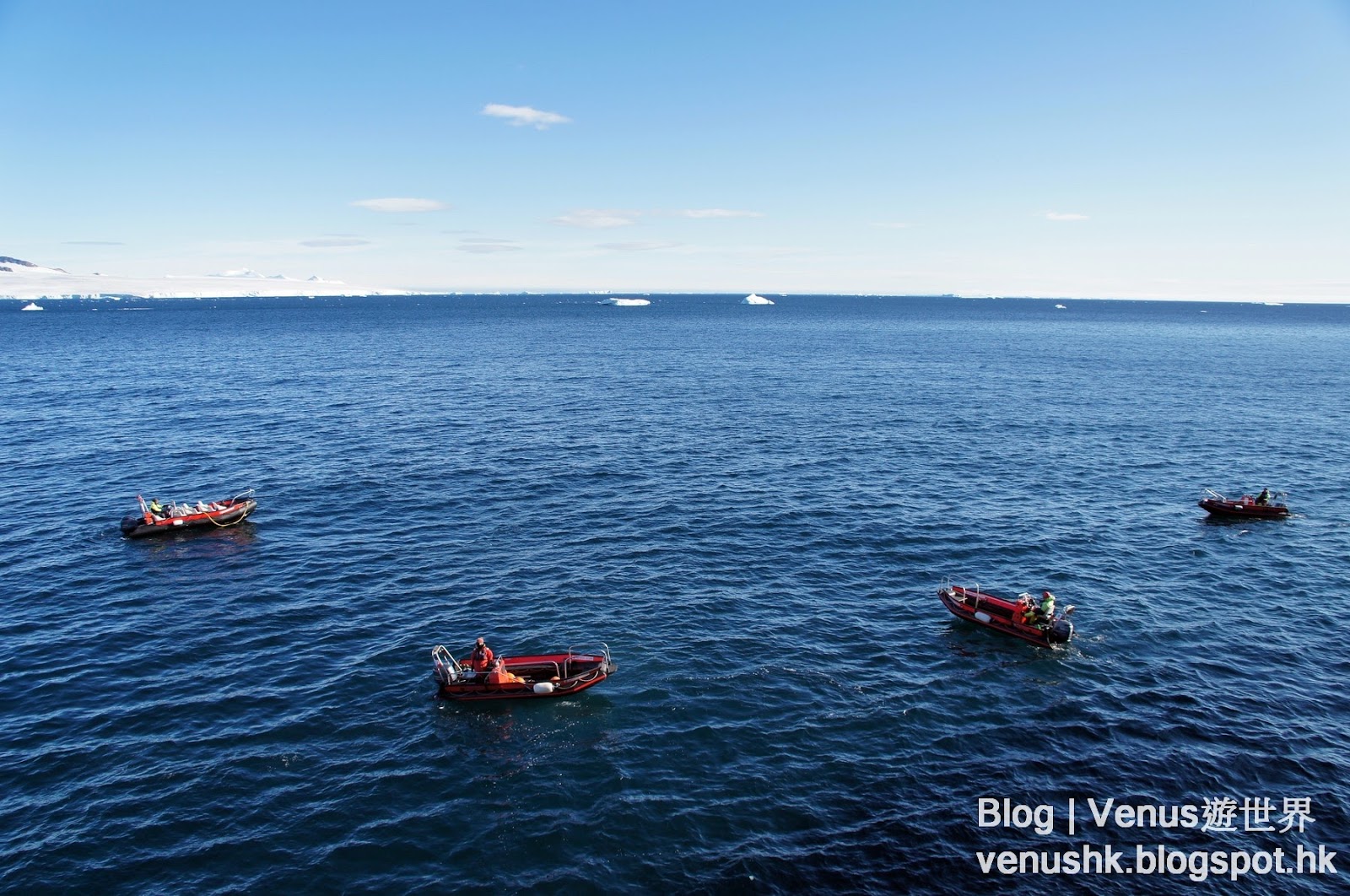 Venus遊世界: Day 11 南極第二站上篇──布朗海崖Brown Bluff