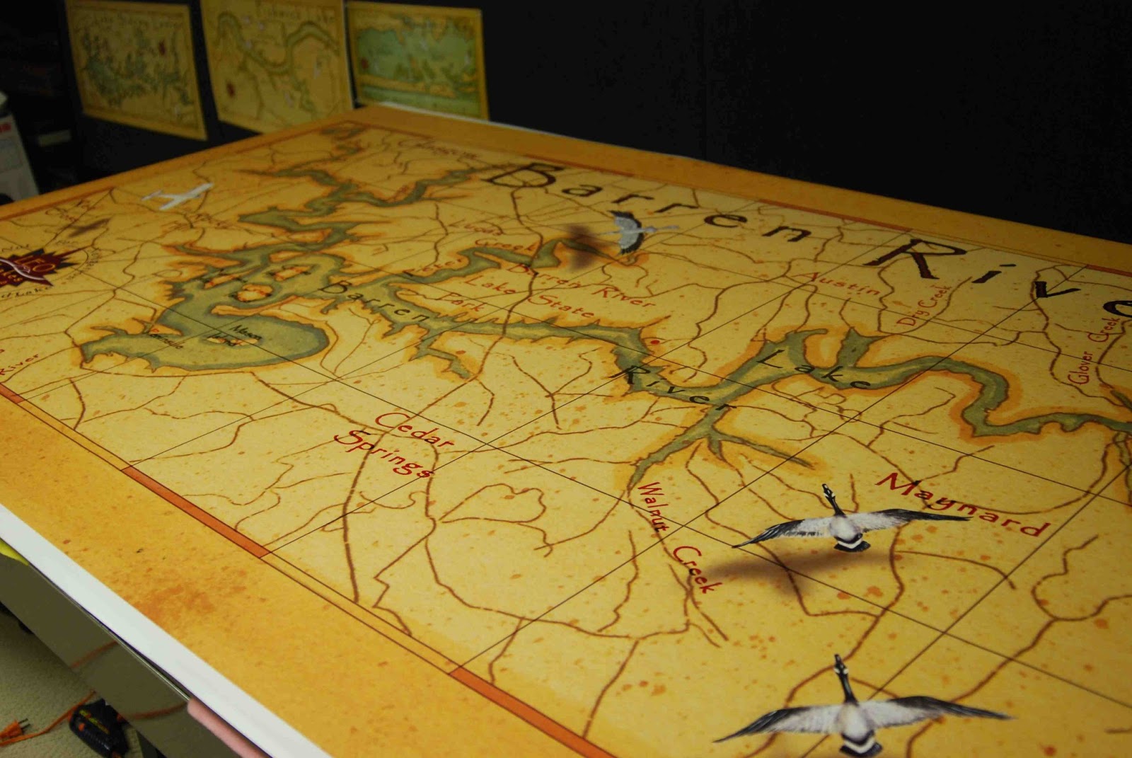 Old field Studio & Leo Lakes: Barren River Lake