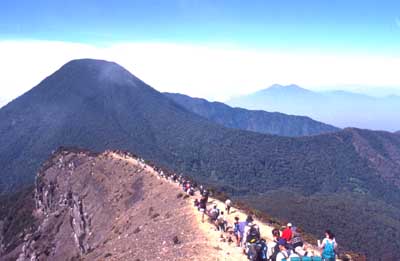 Gunung Gede - Pangrango - Jawa Barat, Indonesia ~ PRAMUKA UNPAD