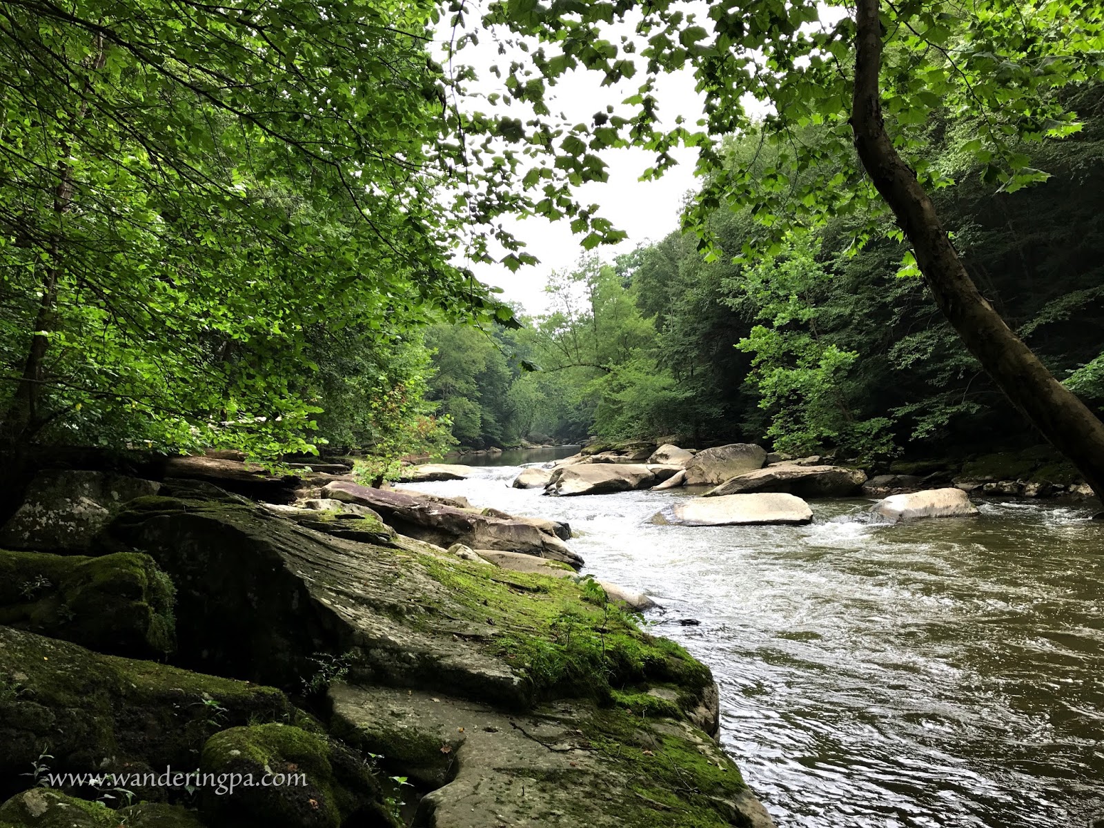 Wandering PA: McConnells Mill State Park - Kildoo Trail
