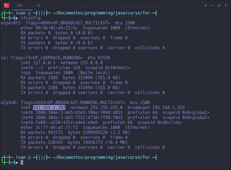Escanear una red con Java - Scanning a network with Java