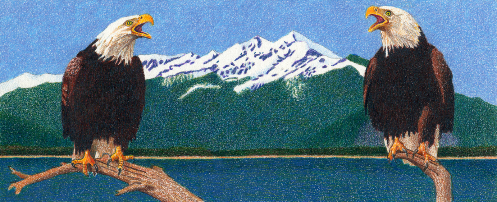 Birds in Art - Colored Pencil Drawings